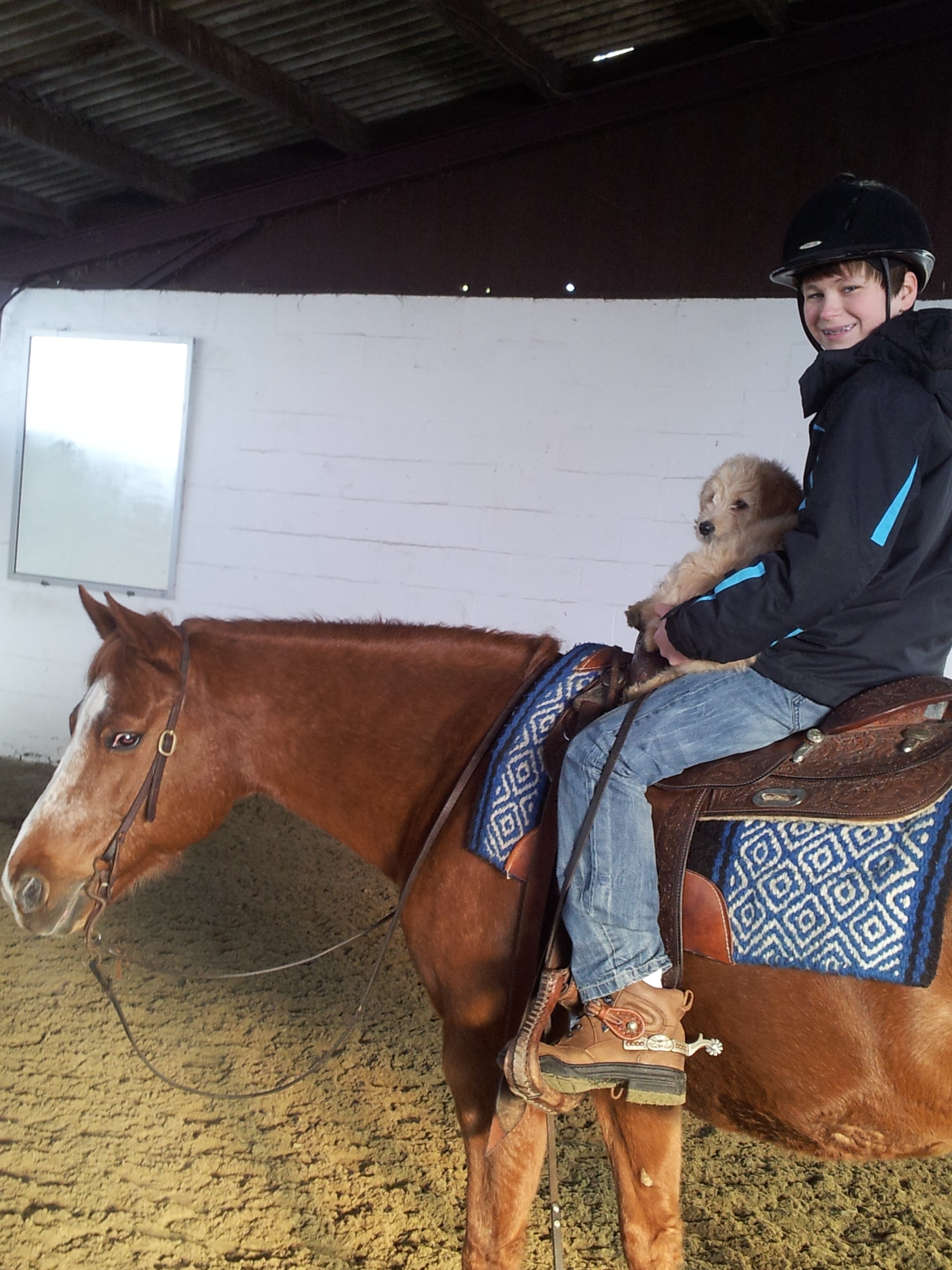 kenzie op paard | Geleidehondenschool Herman Jansen